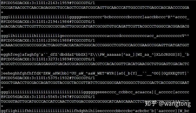 nanopore测序技术专题（七）：测序结果文件介绍 - 知乎