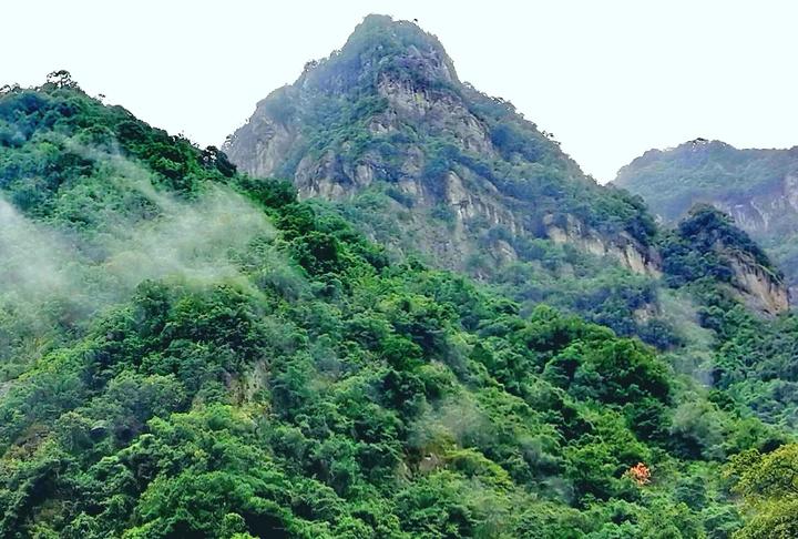 研报笔记-20230115（美国CPI符合预期，1 月加息 25BP 的概率较大） - 知乎