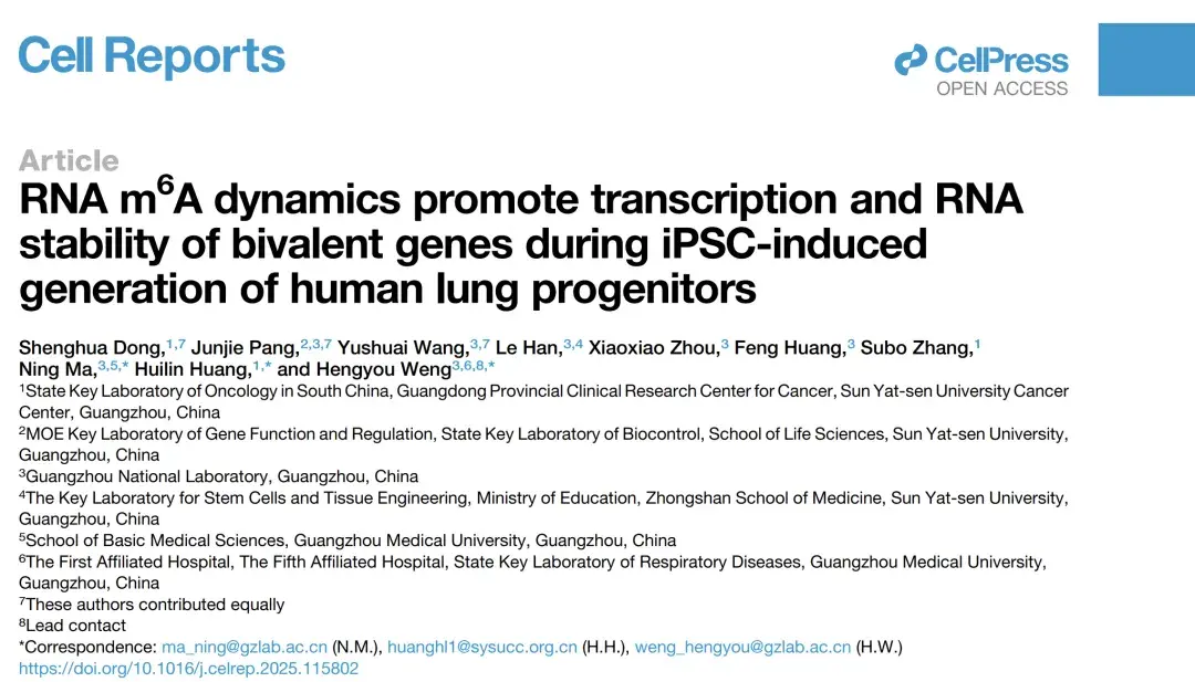 Cell Reports | m6A参与肺器官发育的新机理 - 知乎