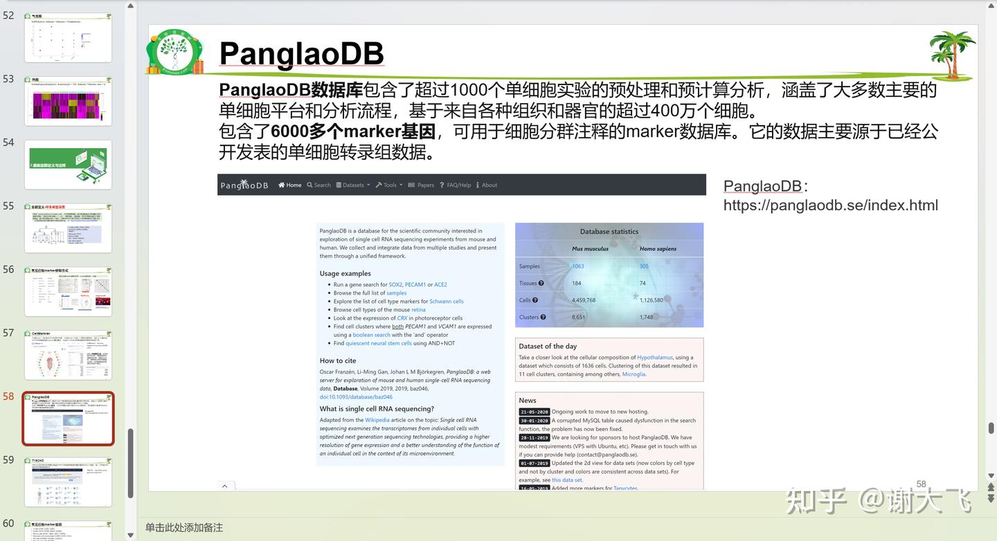 单细胞亚群手动注释步骤 - 知乎