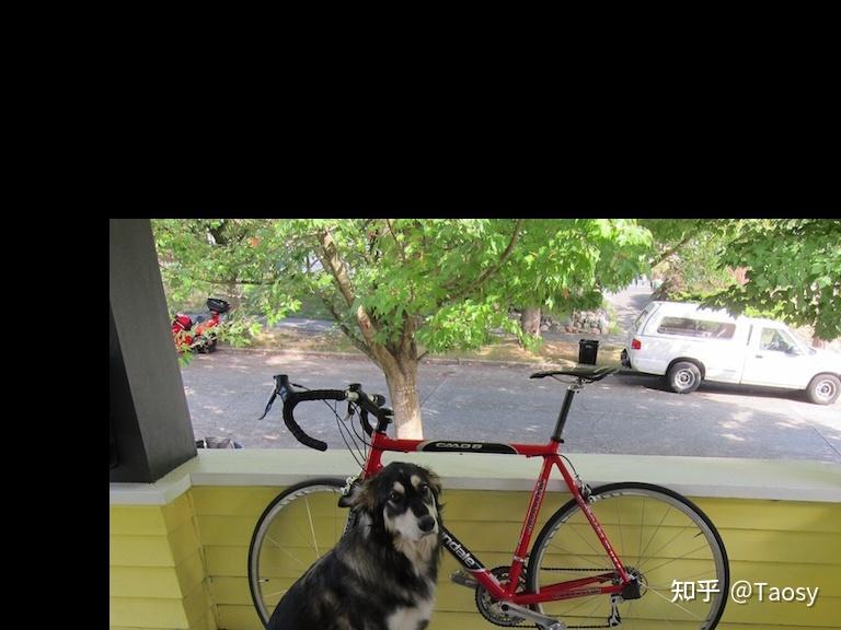 【图像处理】imutils 函数基本用法 - 知乎