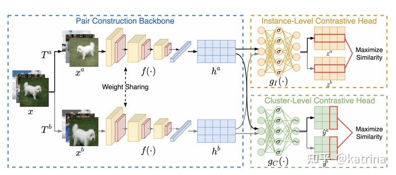 【AAAI2021】Contrastive Clustering论文阅读笔记 - 知乎