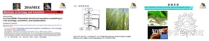 最新R语言结构方程模型（SEM）在生态学领域中的实践应用 - 知乎