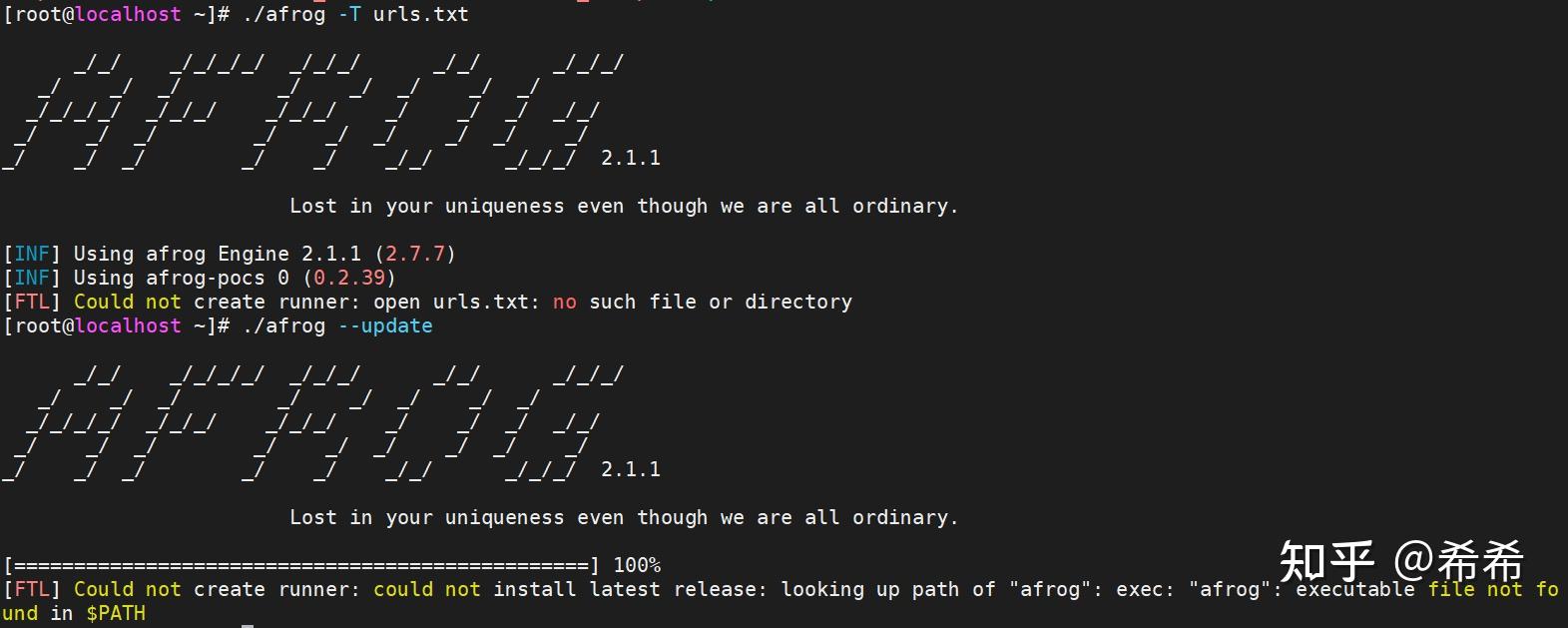 基于KeyarchOS(KOS)部署的漏洞扫描工具afrog的安装与使用 - 知乎