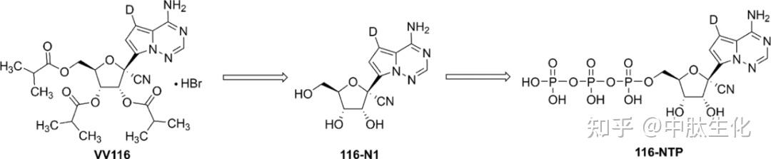 新冠口服药VV116登上NEJM的背后 - 知乎