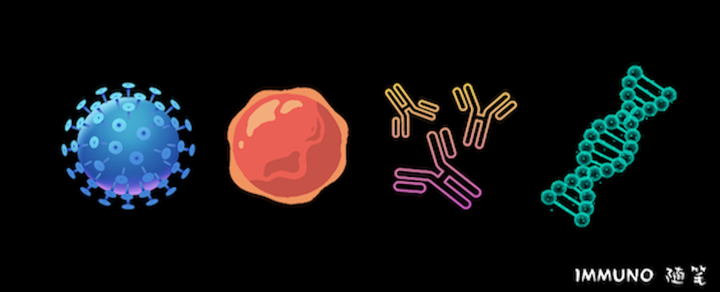 HER2靶向CAR-M产品CT-0508在HER2过表达实体瘤中的探索 - 知乎