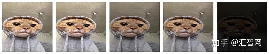 PyTorch微调终极指南3：使用数据增强 - 知乎