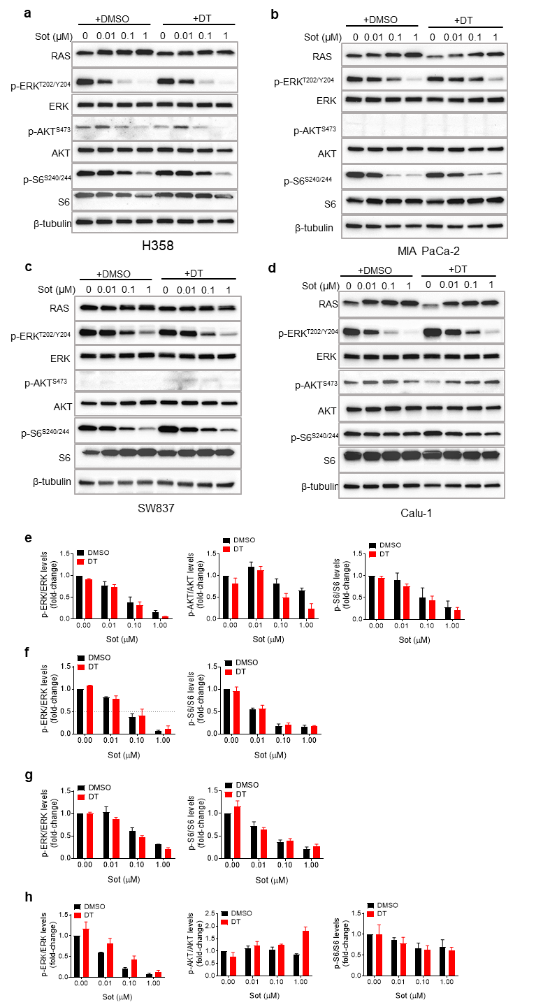 BCL-XL PROTAC降解物DT2216在KRASG12C突变的癌症临床前模型中与sotorasib协同作用 - 知乎