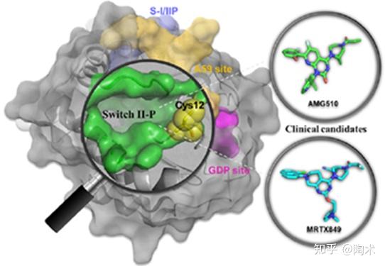 什么是KRAS？ - 知乎