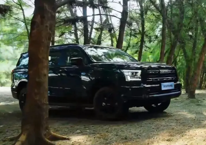 起步14.78万，标准大型SUV比哈弗H9宽敞，全新哈弗H5“黑武士” - 知乎