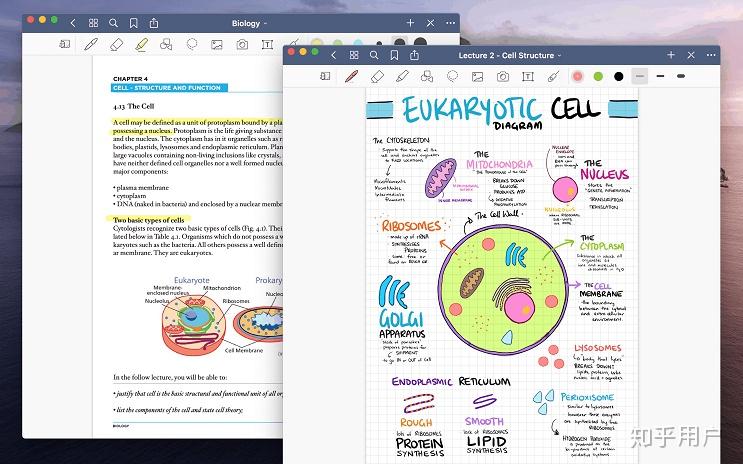 在哪里能免费下载goodnotes? - 知乎