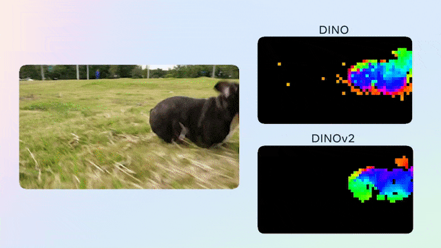 DINOv2：无需微调，填补 SAM 的空白，支持多个下游任务 - 知乎
