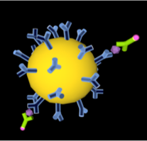 磁性荧光编码微球简介 - 知乎