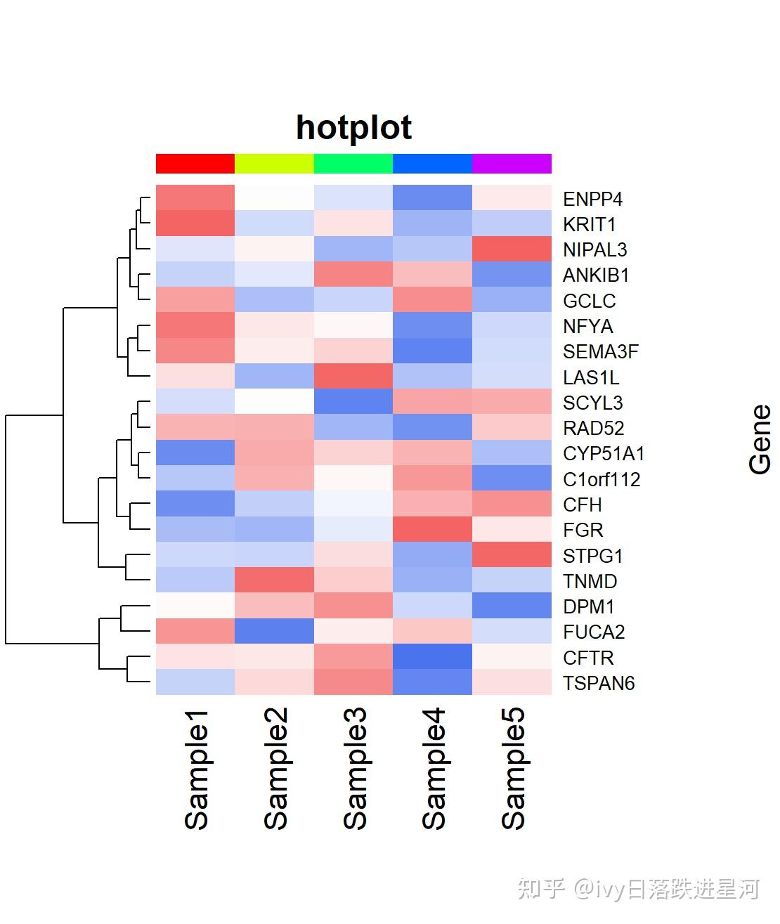 R语言中heatmap()、heatmap.2()、pheatmap()、ComplexHeatmap()绘制热图 - 知乎