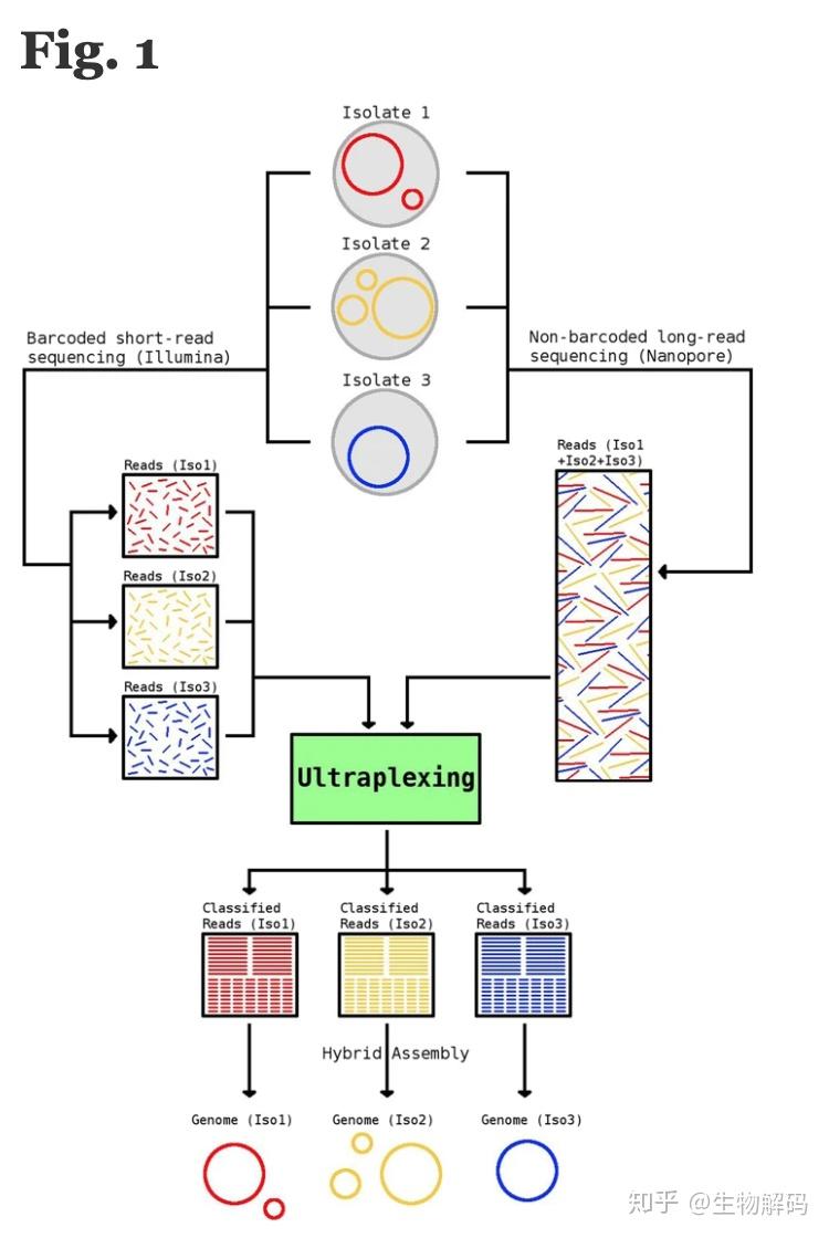 每日文摘 | 2020年03月17日 - 知乎