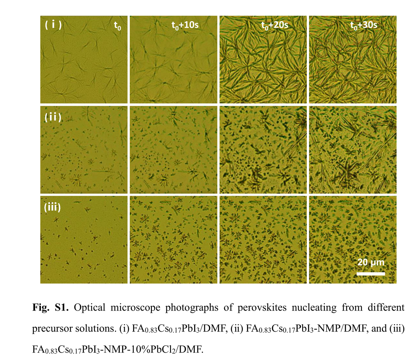 【干货】SEM表征原理及分析方法，更有图片上色教程，还不来看？ - 知乎