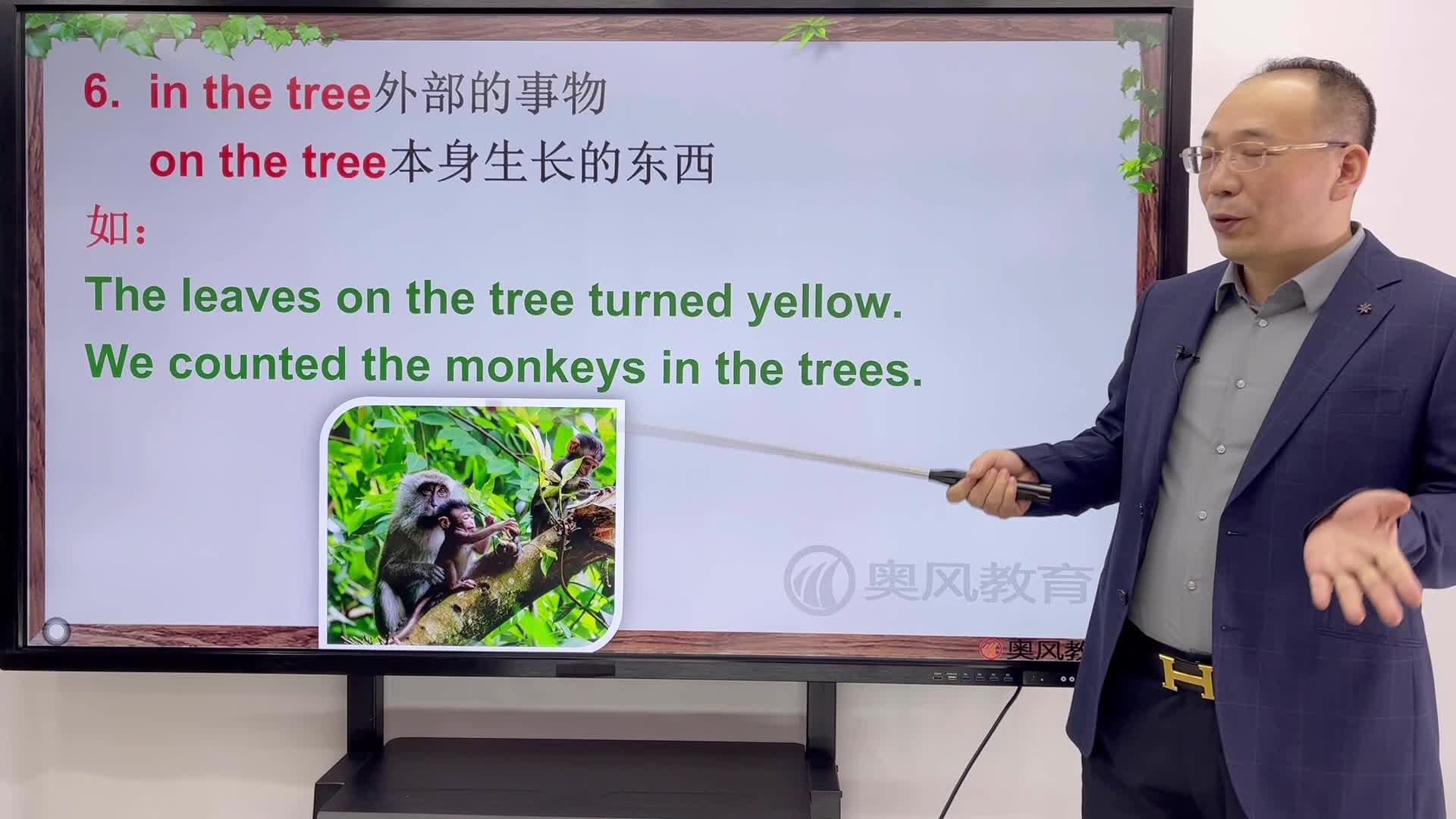 On the tree还是in the tree? - 知乎