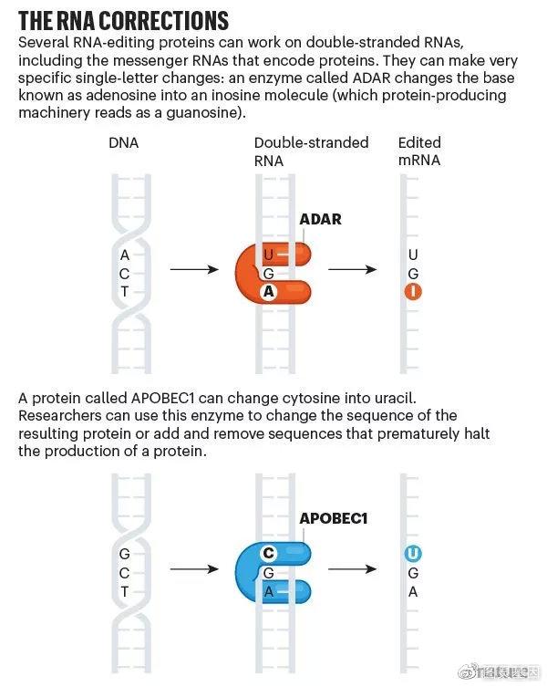 前沿分子生物学技术(21)RNA编辑的发展之路 - 知乎
