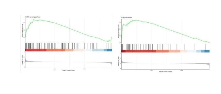 转录组学05｜三类富集方法详解：GSEA、GSVA 与ssGSEA(上) - 知乎