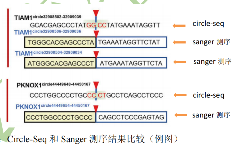 技术干货| eccDNA测序后续应该怎么验证？云序带你一探究竟！ - 知乎