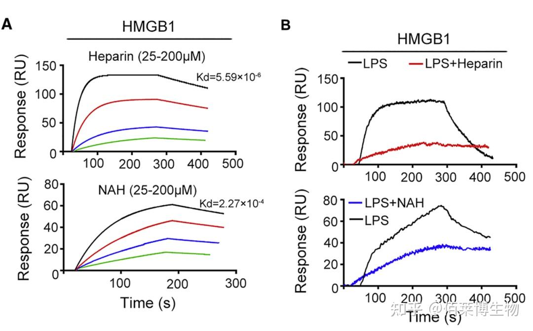 脂多糖（LPS）与蛋白亲和力测定的几种方法：SPR、ITC、BLI、MST - 知乎