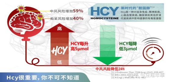 同型半胱氨酸（HCY）是什么？ - 知乎