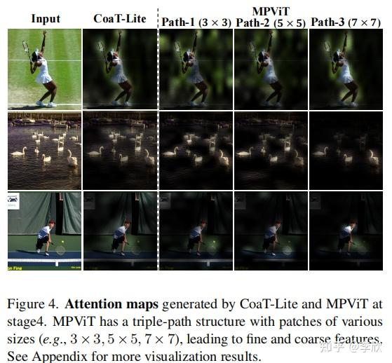 【CVPR2022】MPViT : Multi-Path Vision Transformer for Dense Prediction - 知乎