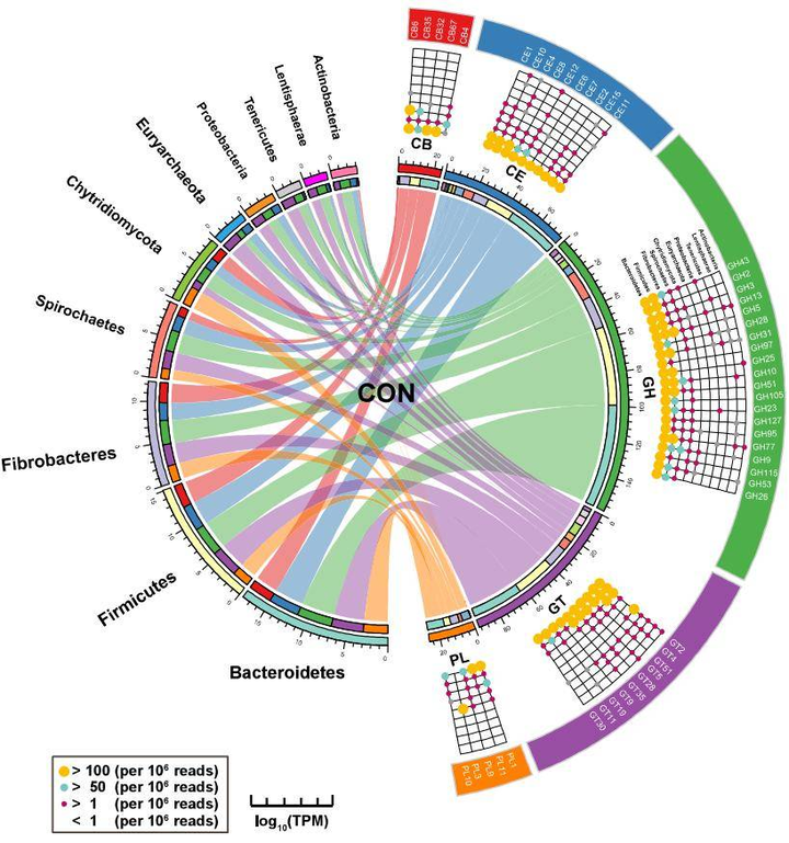 【BIOMOD2模型】基于R语言BIOMOD2模型的物种分布模拟 - 知乎