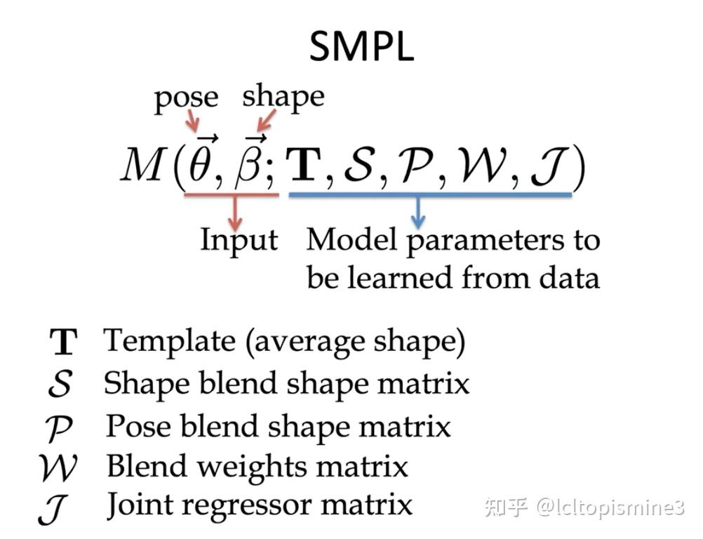 虚拟人（SMPL） CVPR 教程专项一：SMPL的介绍、历史与基础 - 知乎