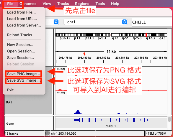 深入解析IGV基因组浏览器：igvtools快速 - 知乎