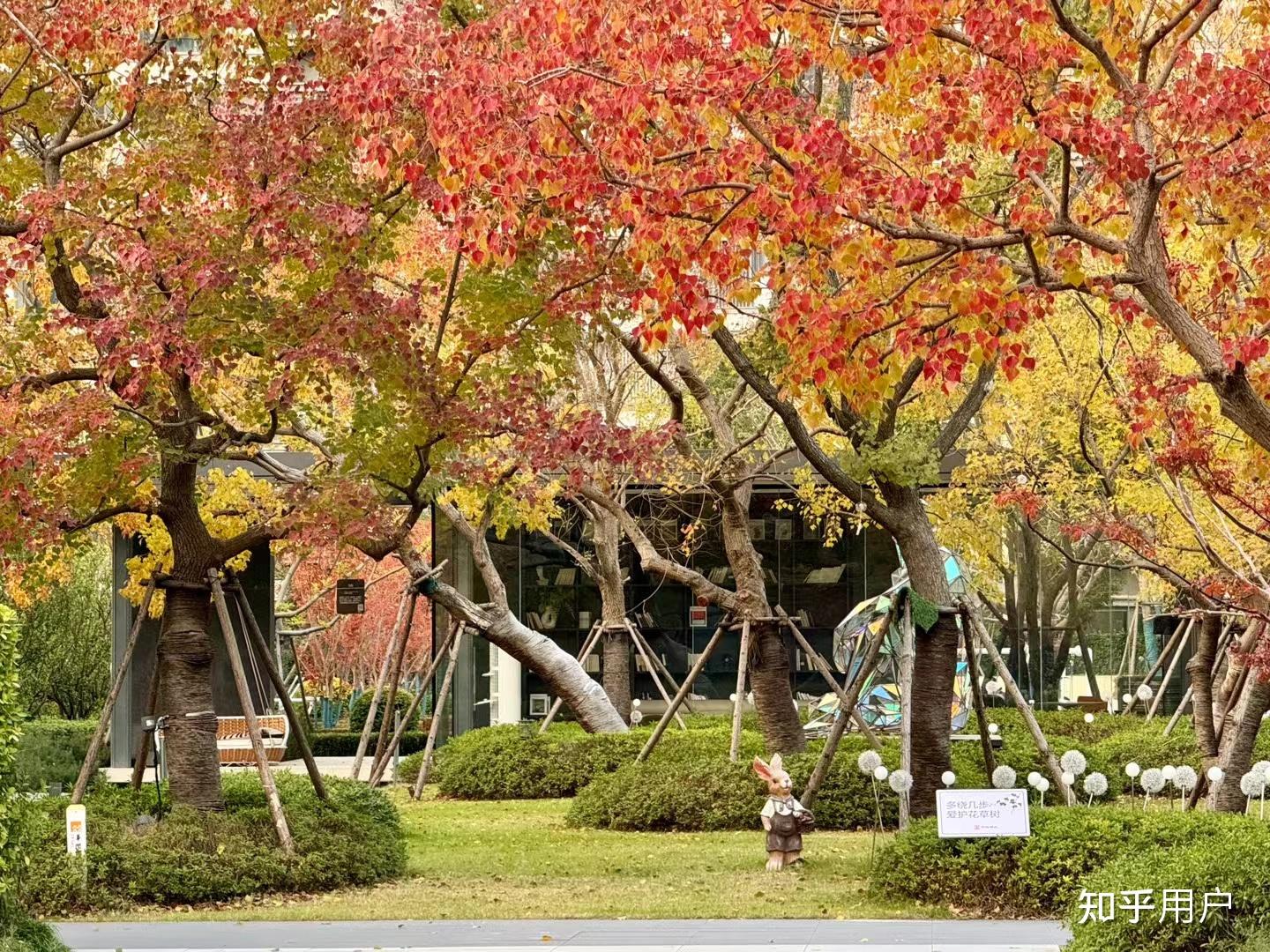 支付宝上的车险比价靠谱吗？怎么买车险才最划算？ - 知乎