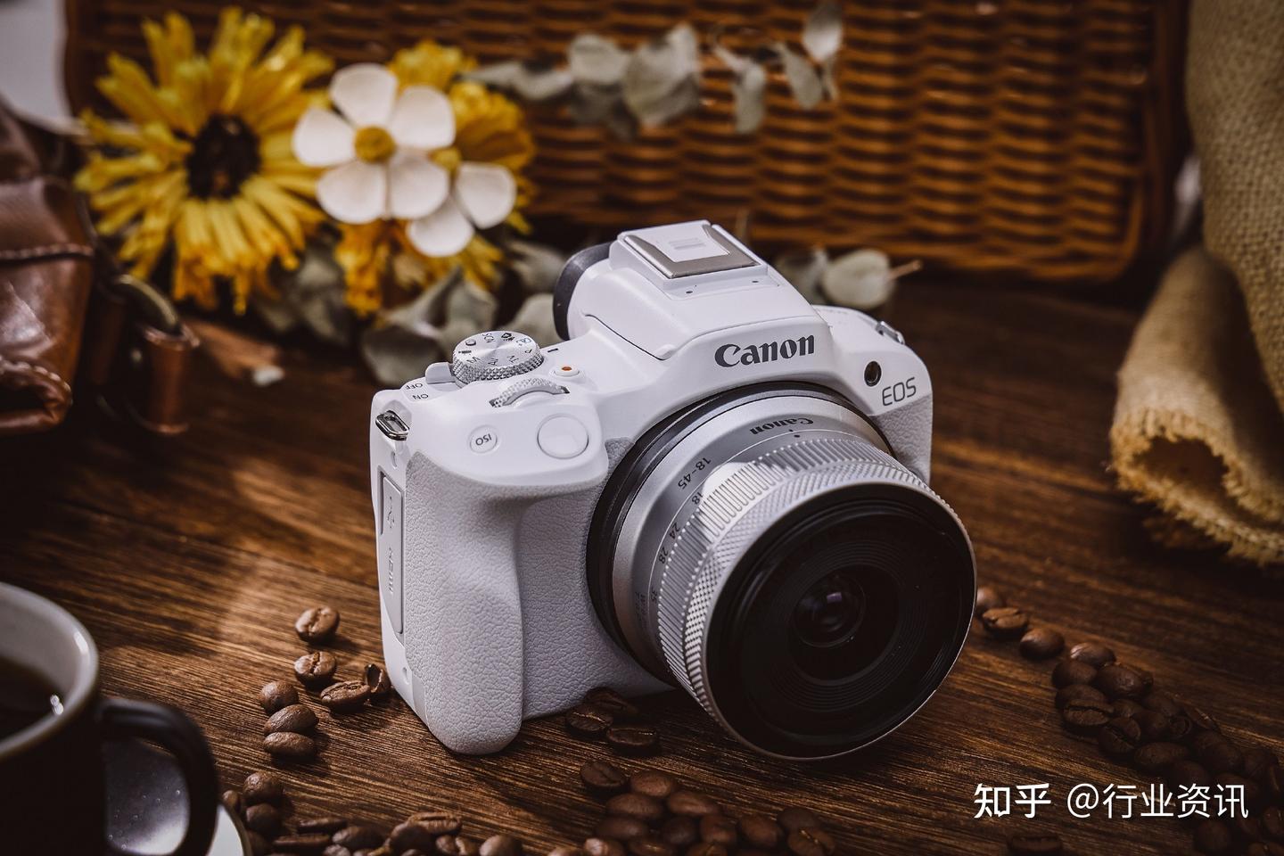 三款热门微单：尼康Z30、佳能R50和索尼ZV-E10之间应该如何选择？ - 知乎