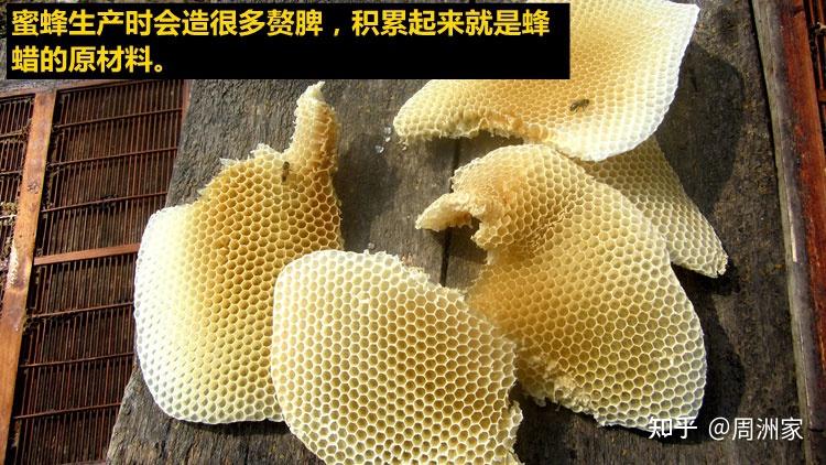 蜂蜡是怎么来的？有什么用？蜂蜡真假如何鉴别？ 知乎