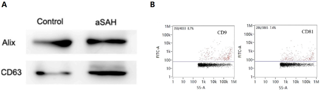 从MISEV2023中寻找外泌体标志物 WB阴性的解决方案 - 知乎