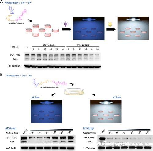 智慧芽PharmSnap | 冉冉升起的新星-光控PROTAC - 知乎