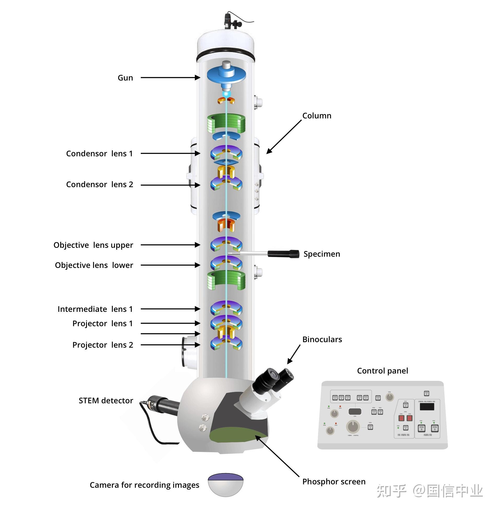 技术解读专栏|透射电子显微镜（TEM） - 知乎