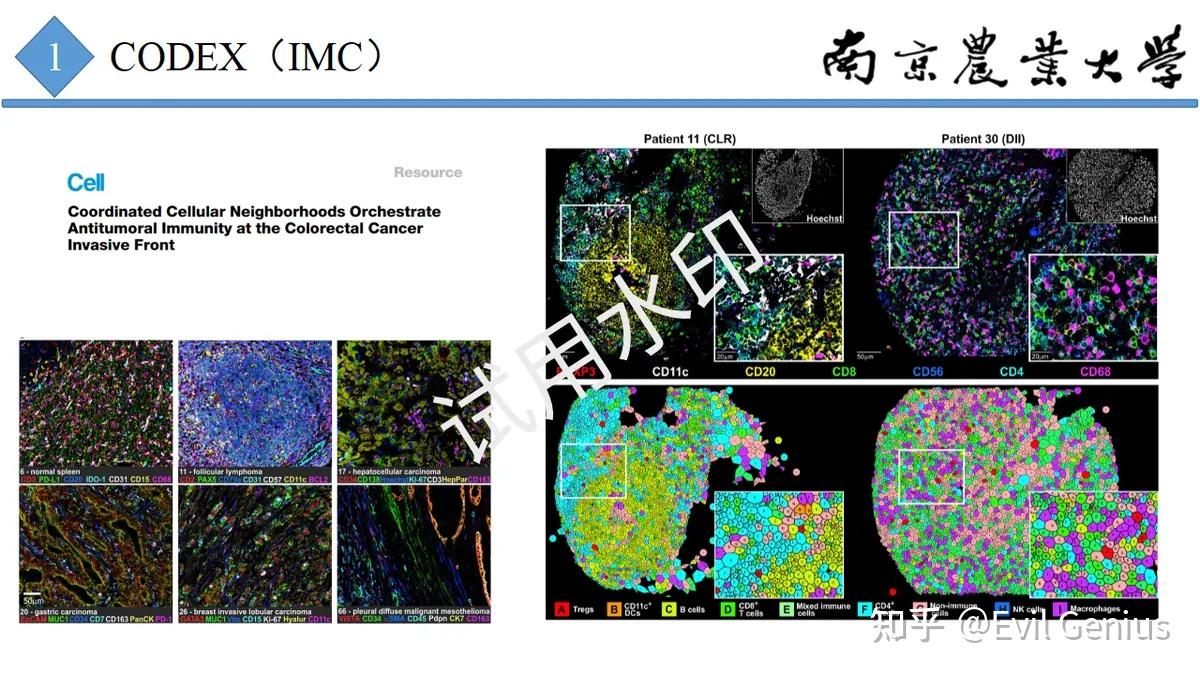第26课PPT--CODEX（IMC、mIHC）基础分析梳理 - 知乎