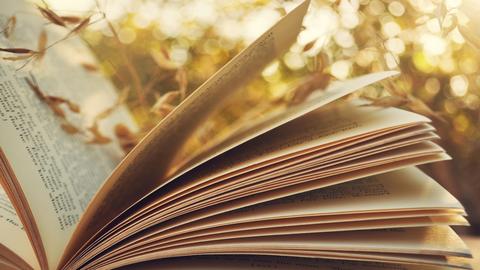 使用 BookStack 写文档，一个开源的 Confluence 替代品 | Linux 中国 - 知乎