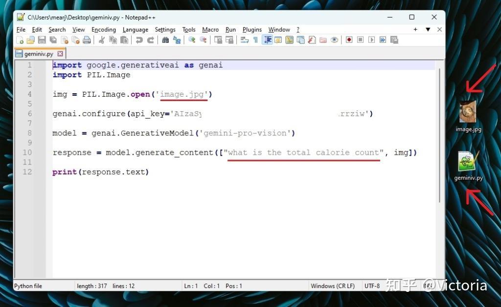 如何访问和使用 Google Gemini API 密钥（附示例） - 知乎