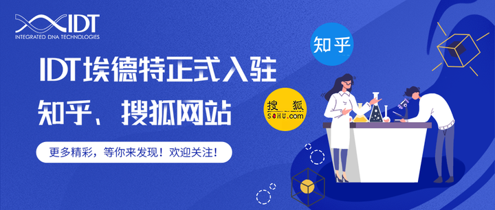 官宣！IDT埃德特正式入驻知乎、搜狐网站 - 知乎