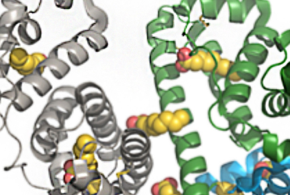 人血清白蛋白HSA、Cy3标记，Human Serum Albumin/Cy3加深理解生物学 - 知乎