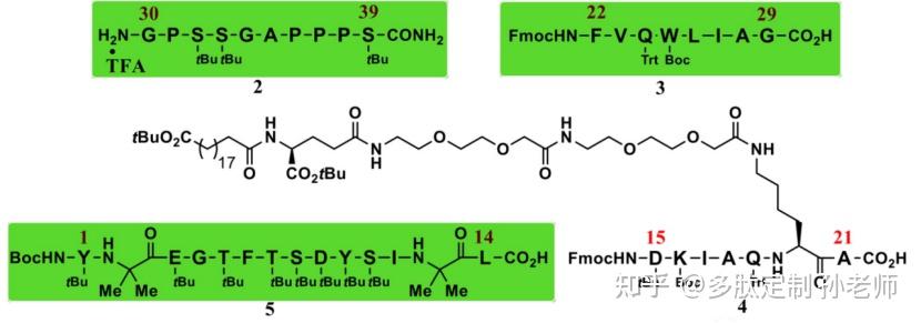 替尔泊肽（Tirzepatide） - 知乎