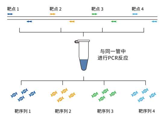 多重qPCR解析，你了解吗？ - 知乎