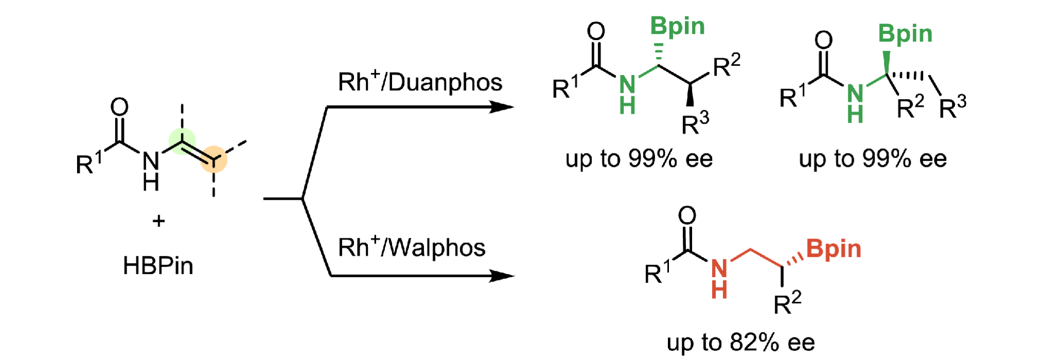 DuPhos系列配体：为精细化学品合成赋能 - 知乎