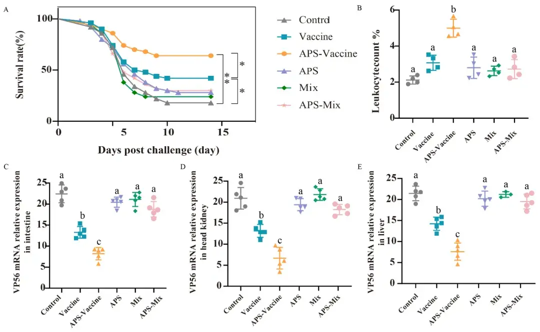 华中农业大学：病毒样颗粒有效保护草鱼免受GCRV-II感染 - 知乎