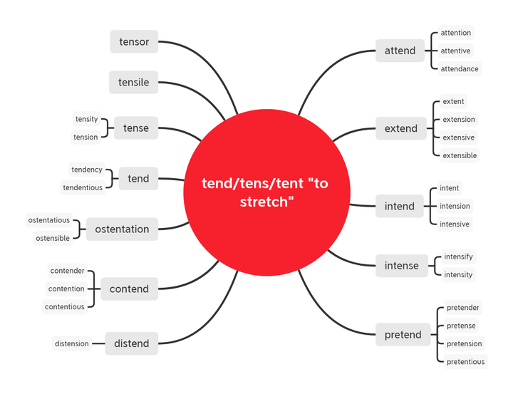词根系列 | TEND/TENS/TENT "to stretch" - 知乎