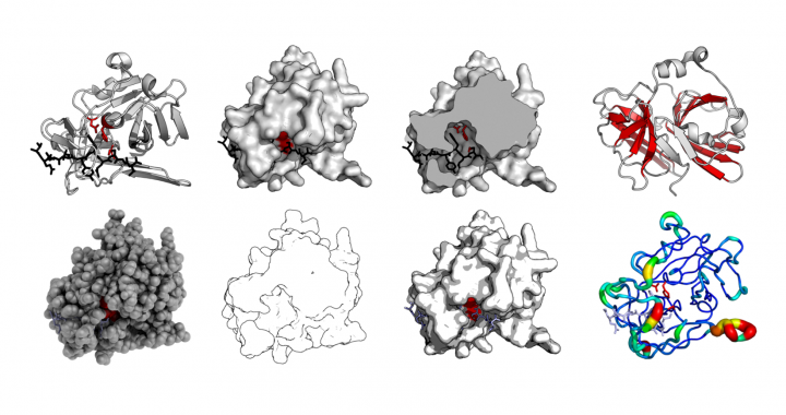 如何用Pymol做出那些美呆的结构图（基础篇） - 知乎