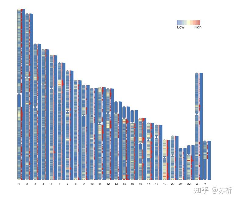 RIdeogram：使用R包绘制染色体信息 - 知乎