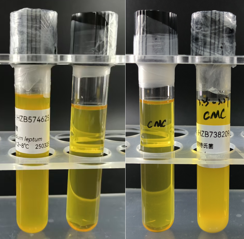 碎肉碳水化合物肉汤培养基(DSMZ Medium 110，CMC)的组分及其配置要点 - 知乎