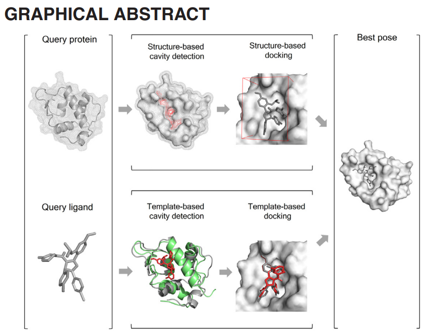 CB-Dock2：教程＋案例 - 知乎